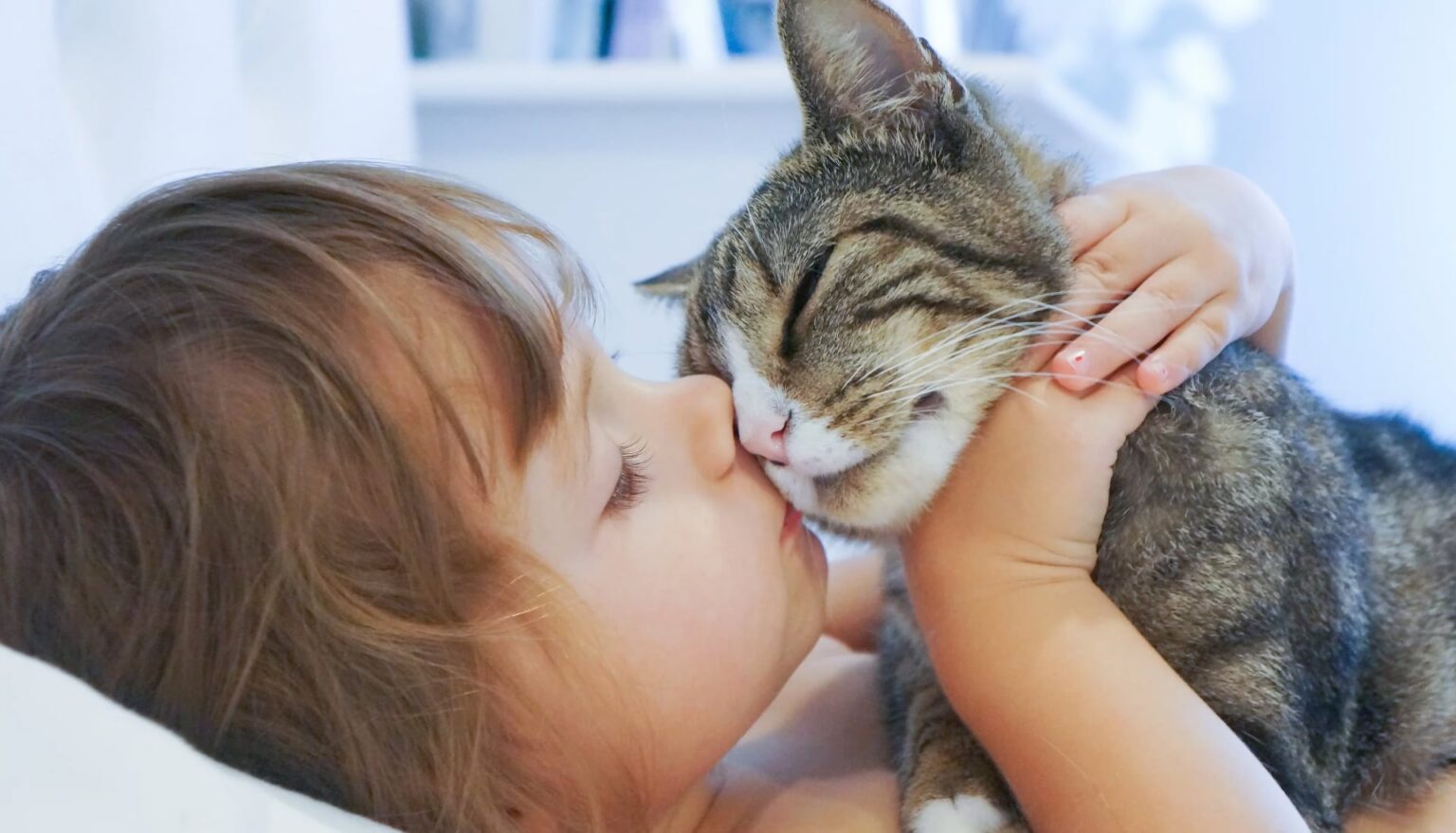 Accommodations – Pender Pet Retreat