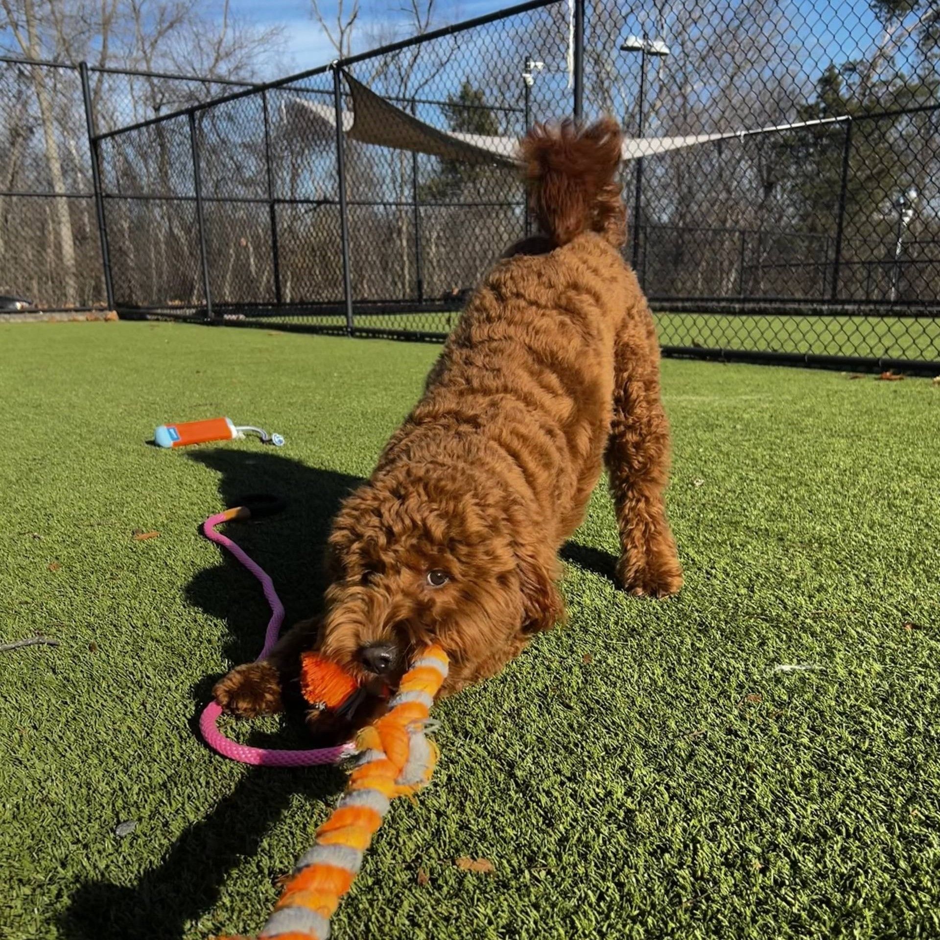 Pender Pet Retreat
